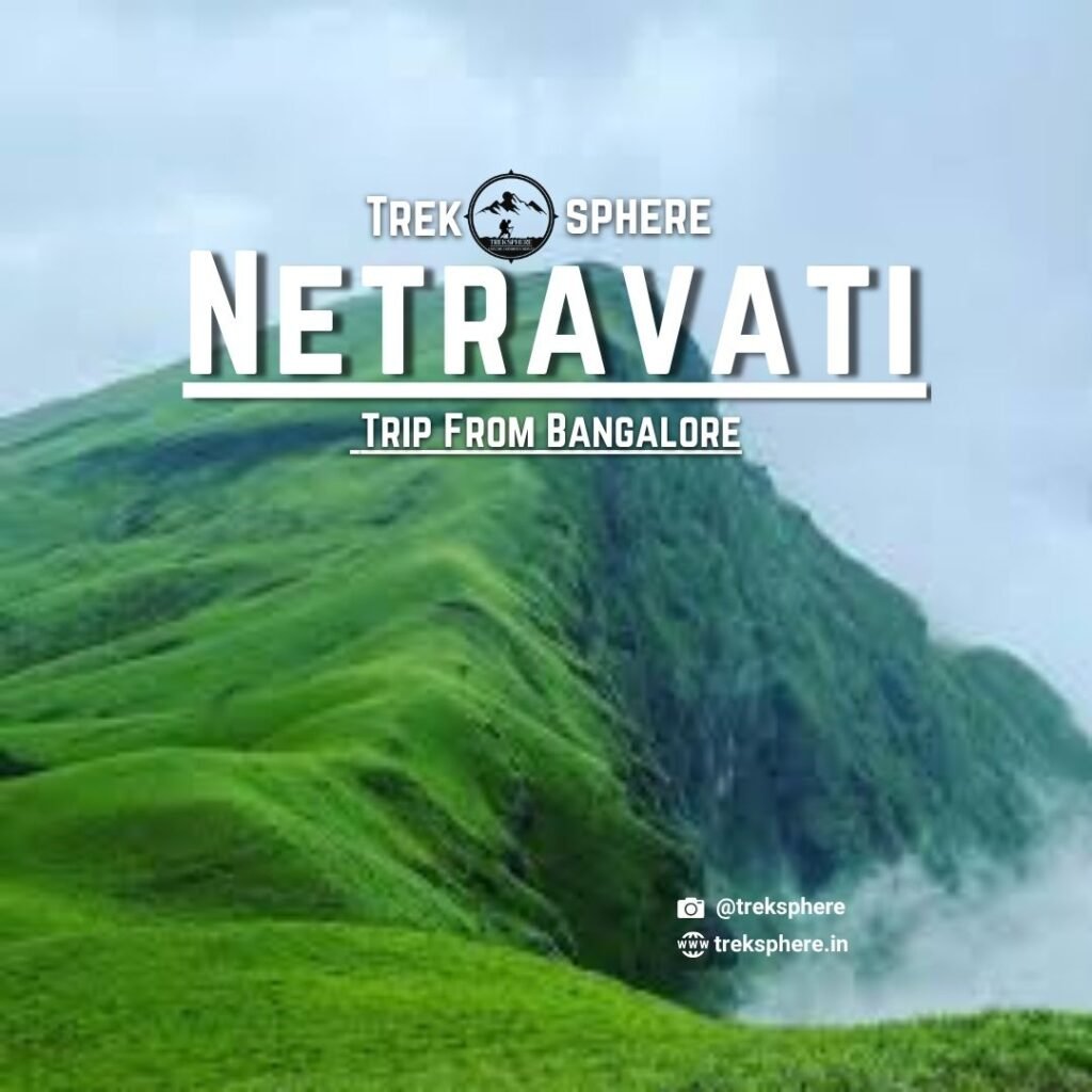 Netravati Peak Trek From Bangalore – treksphere.in